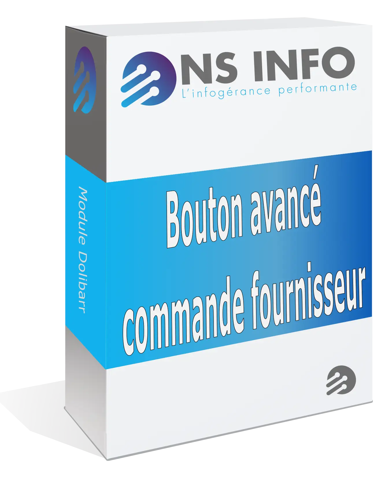 Bouton avancé Commande fournisseur - NS INFO - Développeur